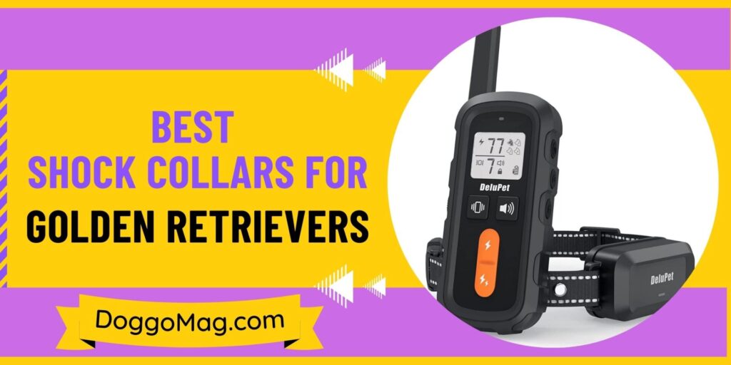 Use these strongest shock collars on your dogs for productive learning experience - DoggoMag