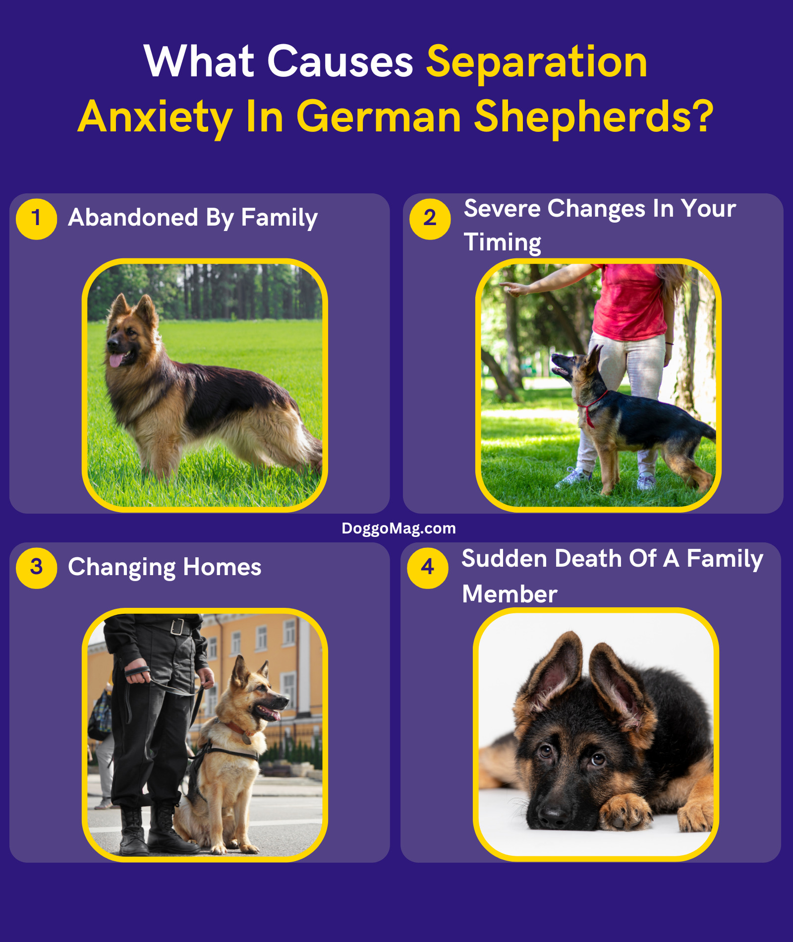 German Shepherd Separation Anxiety – Symptoms, Reasons, and Remedies ...