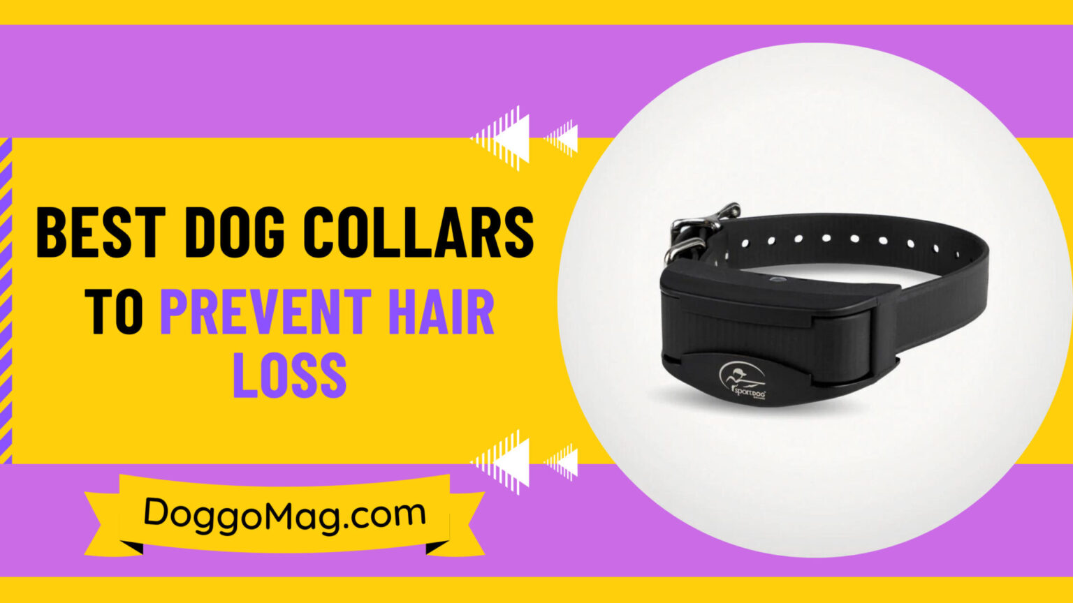 10 Best Dog Training Collars for 2023 | DoggoMag