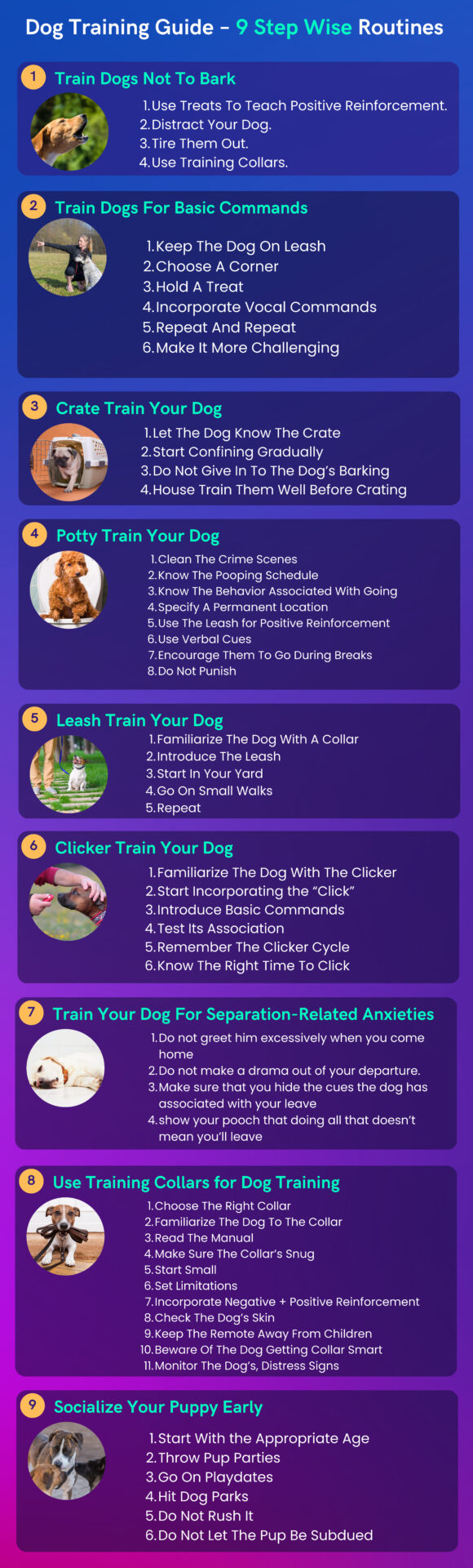 From Woofs to Wows: Effective Dog Training Guide - DoggoMag