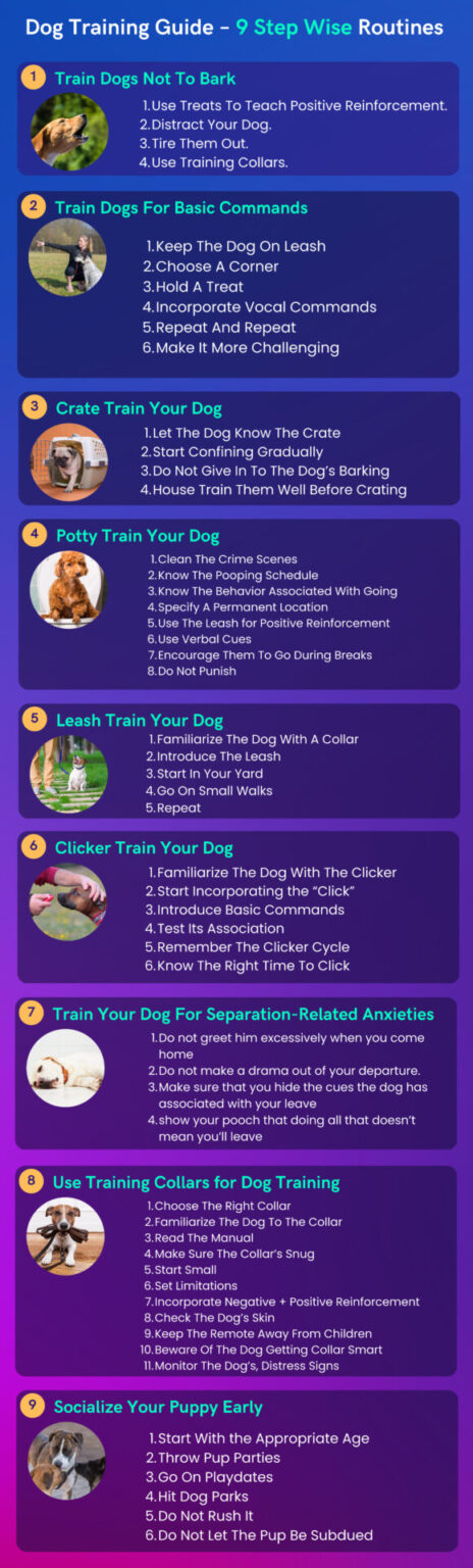From Woofs to Wows: Effective Dog Training Guide - DoggoMag