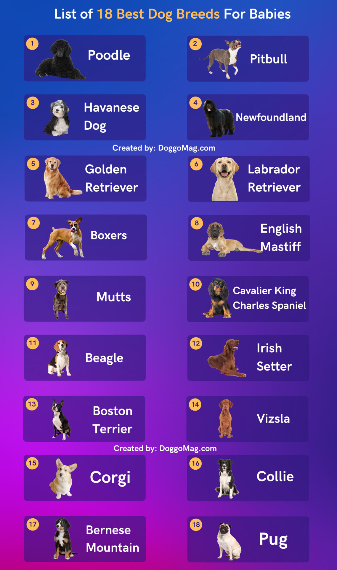 18 Best Dog Breeds For Babies - Extremely Kids Friendly - DoggoMag