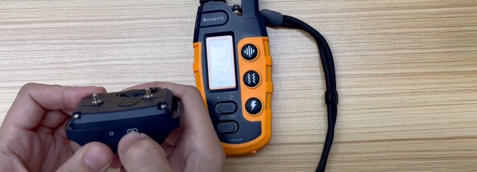 7 Best Shock Collars for Hunting Dogs [July 2023] - DoggoMag