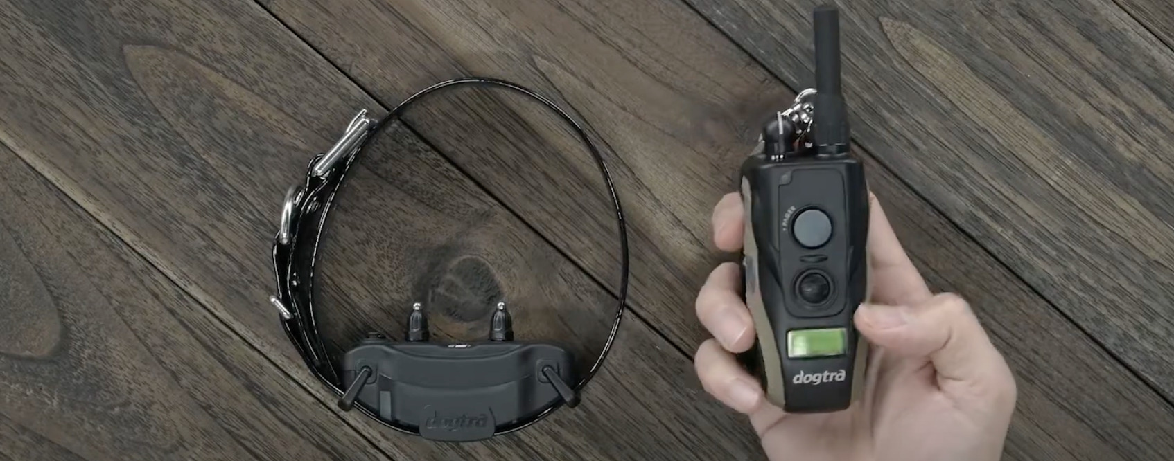 11 Best Training Collars for Stubborn Dogs in 2023 - DoggoMag