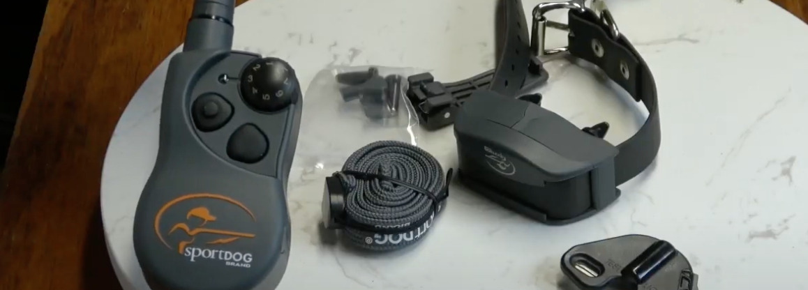 11 Best Training Collars for Stubborn Dogs in 2023 - DoggoMag