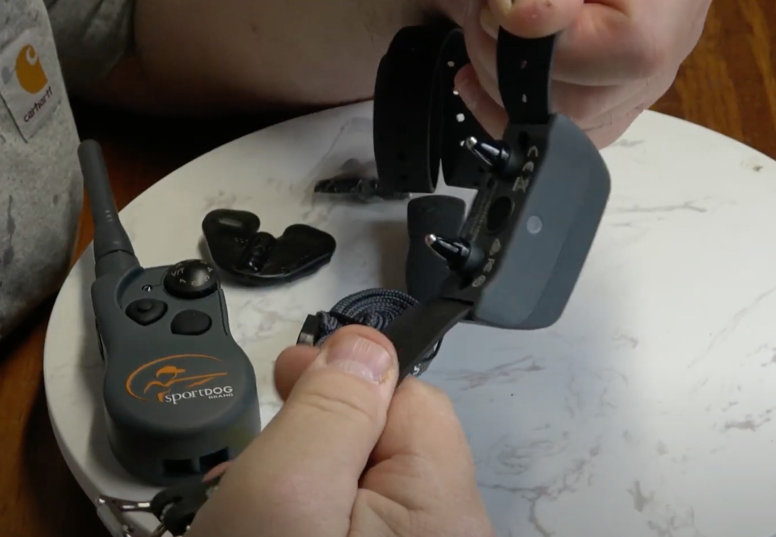 7 Best Training/Shock Collars for Hunting Dogs [Sep 2023] - DoggoMag