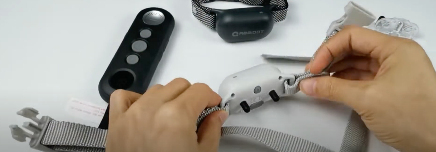 I Tried 10 Best Strongest Shock Collars for Dogs [Check #1] - DoggoMag