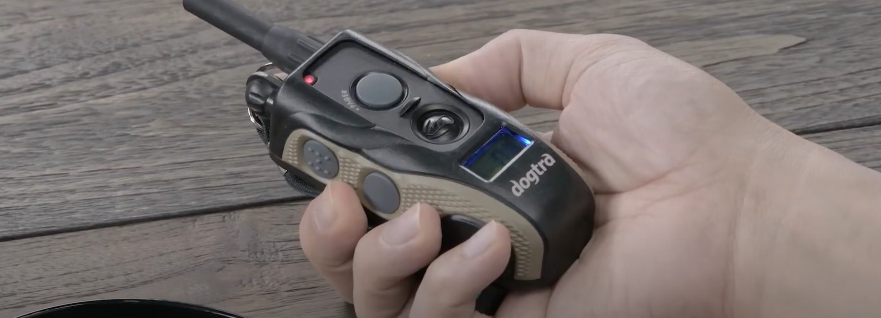 I Tried 10 Best Strongest Shock Collars for Dogs [Check #1] - DoggoMag