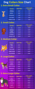 Dog Collar Size Chart - Small to Large Sizes - DoggoMag