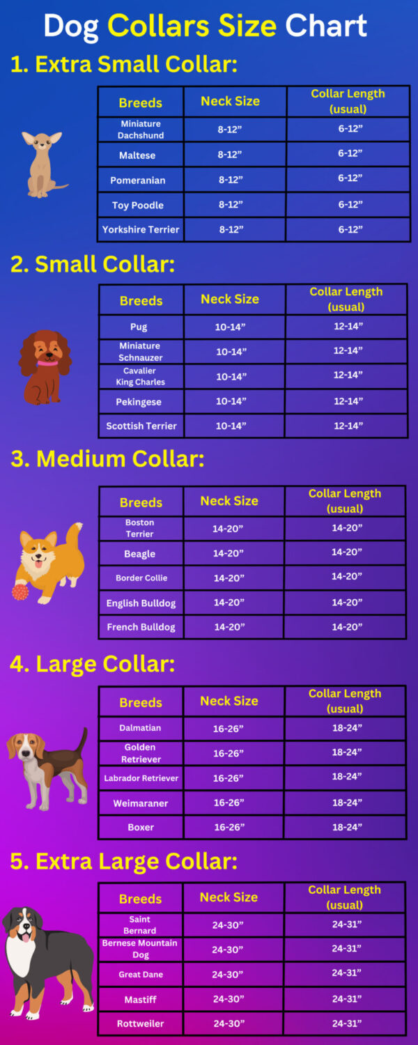 Dog Collar Size Chart - Small to Large Sizes - DoggoMag
