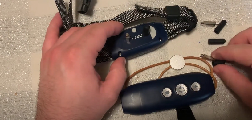 10 Best Dog Training Collars for 2023 | DoggoMag