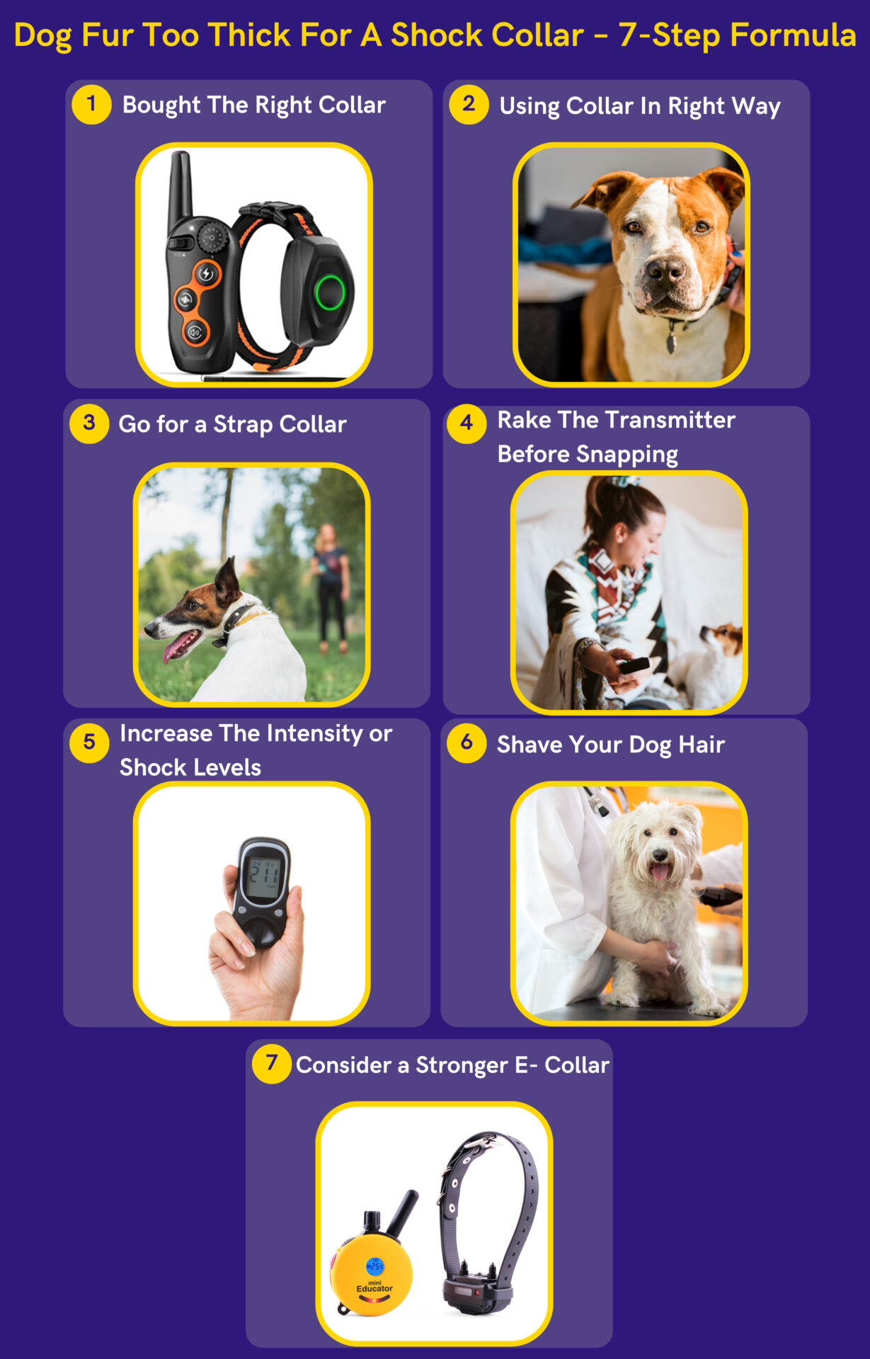 Is Your Dog's Fur Too Thick For A Shock Collar? Here’s What To Do - DoggoMag